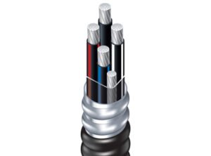 Cable Armado Tipo MC | Cable MC